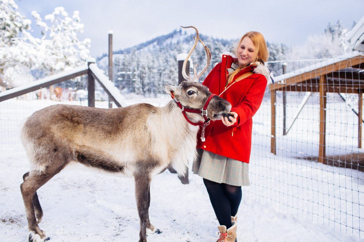 You Can Visit This Reindeer Farm In Washington